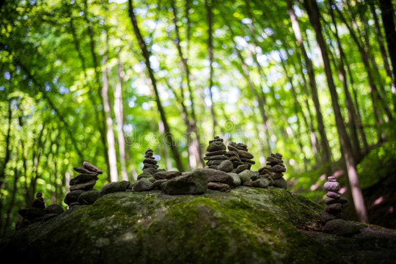 Purity and nature harmony stock photo. Image of natural - 10870134