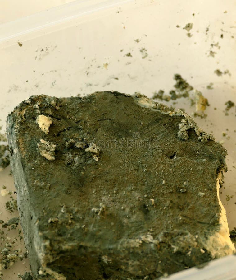 The Harms of Consuming Green Moldy Cheese Stock Photo - Image of ...