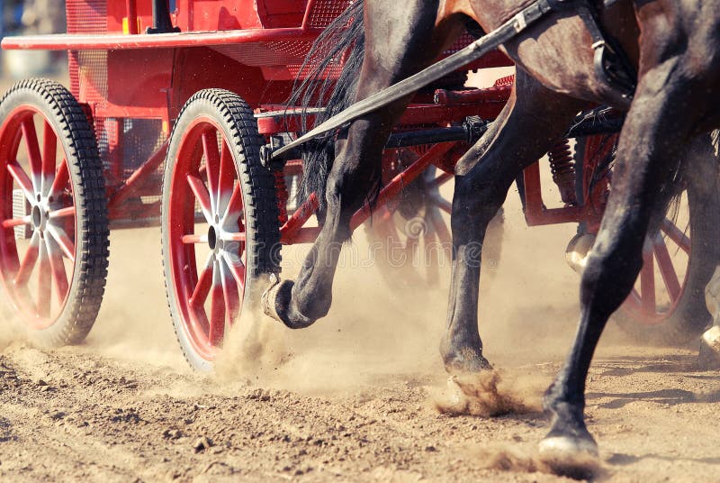 Harness racing in Sweden editorial photo. Image of bene - 53830356