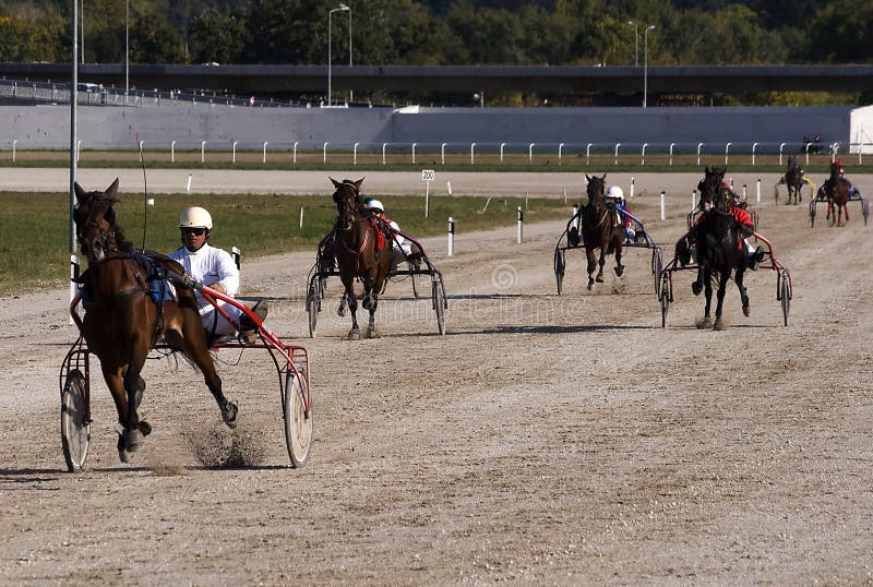 Harness racing-2 editorial photo. Image of effort, competition - 21623606
