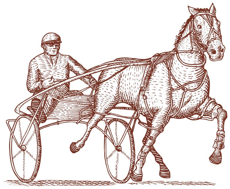 Harness racing stock vector. Illustration of stallion - 5550627