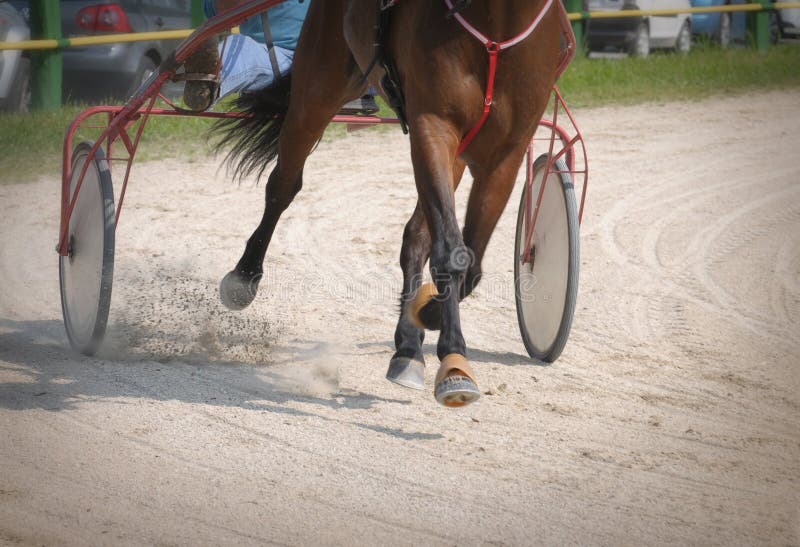 Harness Racing / Trotting stock photo. Image of racing - 528478