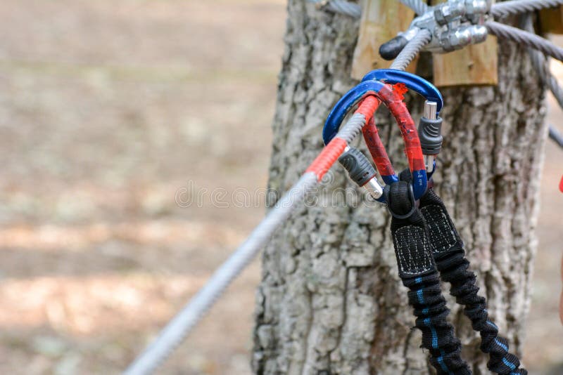 An Harness on a Steel Cable Stock Image - Image of background, accident ...