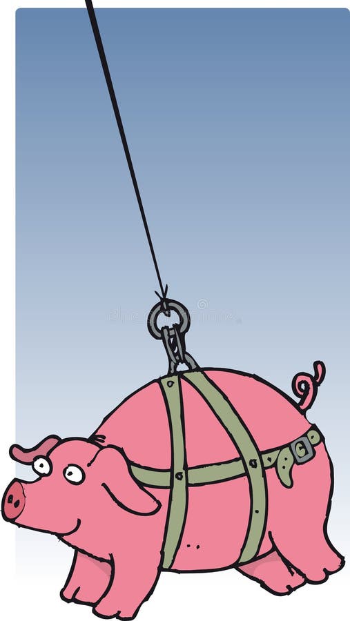Harnessed pig stock vector. Illustration of absailing - 55152103