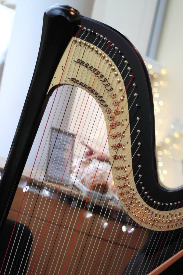 Golden Harp stock photo. Image of musical, expensive, ornate - 528528