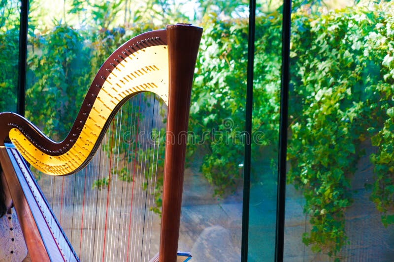 Harp side view stock photo. Image of details, hobby - 301359688