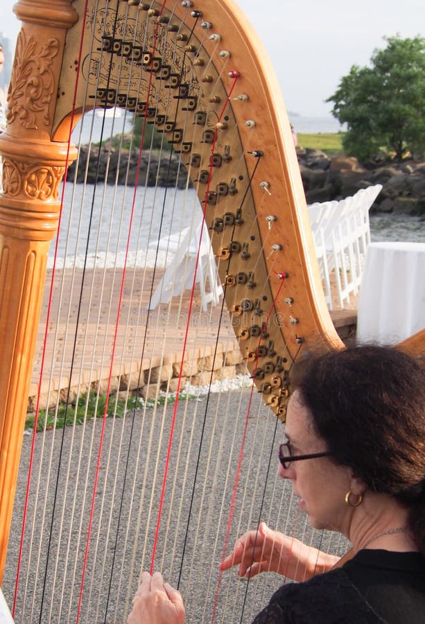 Harpist editorial image. Image of city, westside, instrument - 43207455