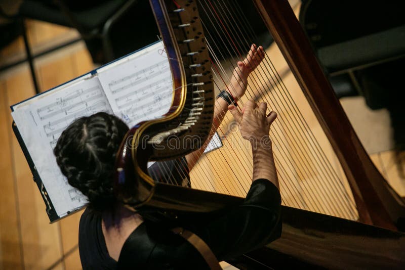 Hands on harp stock photo. Image of human, concert, heavenly - 23915150