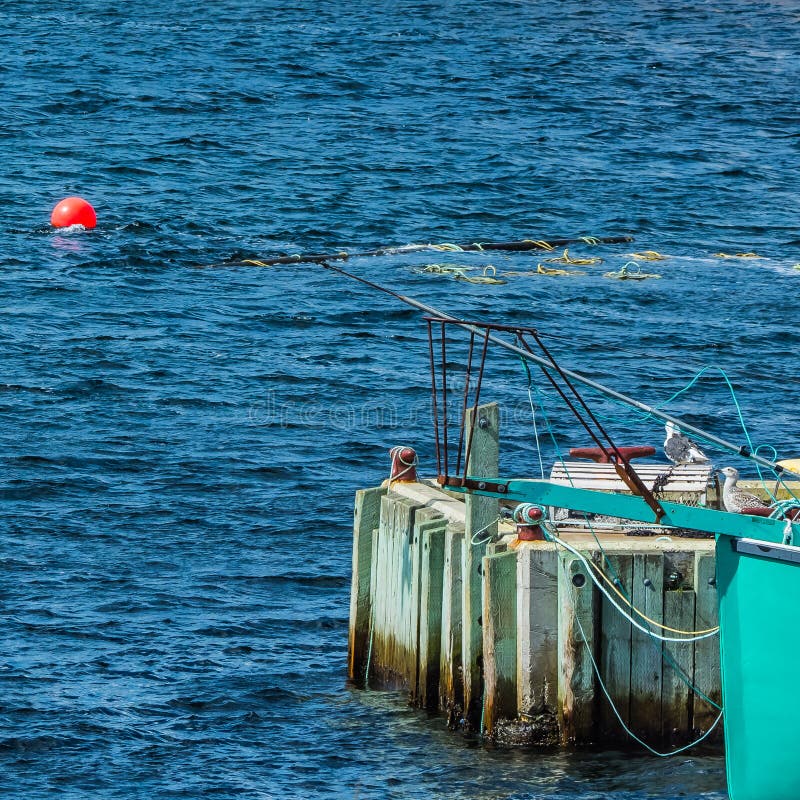 Harpune auf dem Bogen stockfoto. Bild von hintergrund - 121069548