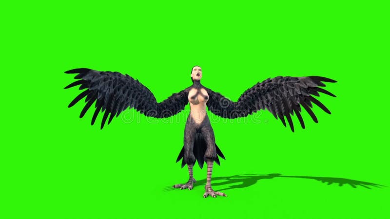 Harpy Mythological Monster Die Front Green Screen 3D Rendering ...