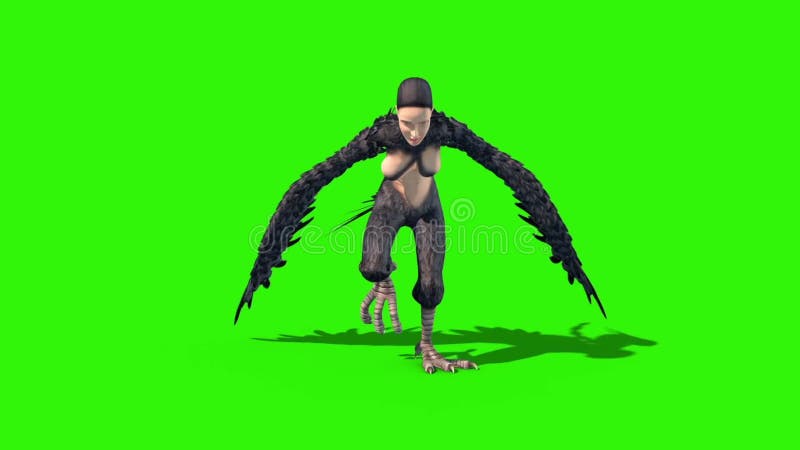 Harpy Mythological Monster Runcycle Loop Green Screen Front 3D ...