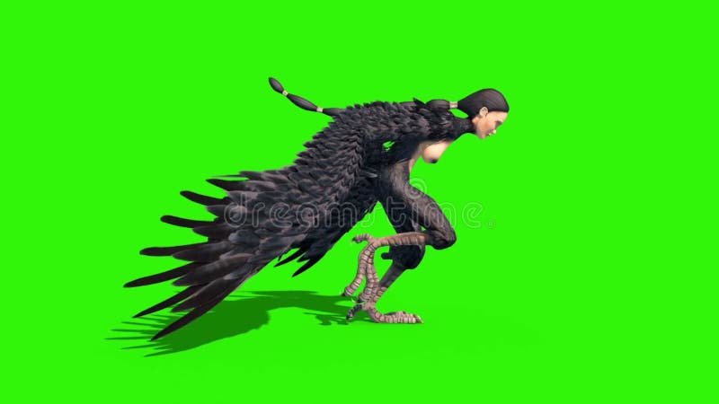 Harpy Mythological Monster Runcycle Loop Green Screen Side 3D Rendering ...