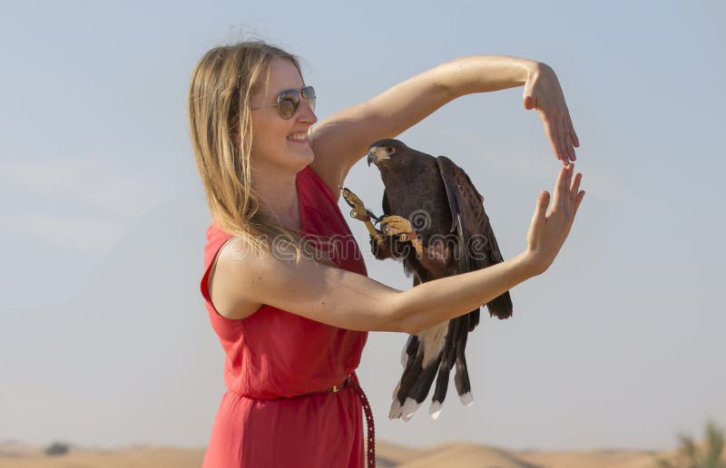 Harrier Hawk Flying Though the Hands of a Young Lady Stock Image ...