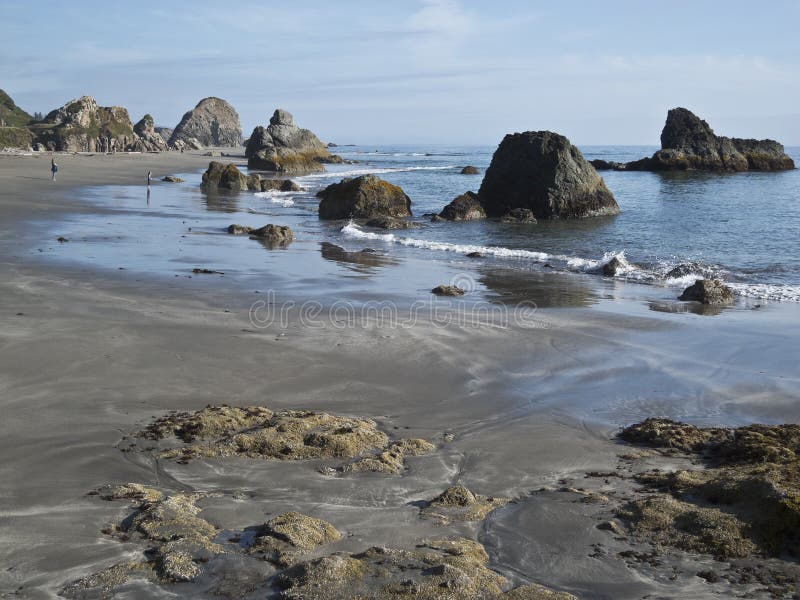 Harris Beach at Brookings, Oregon Stock Photo - Image of brookings ...