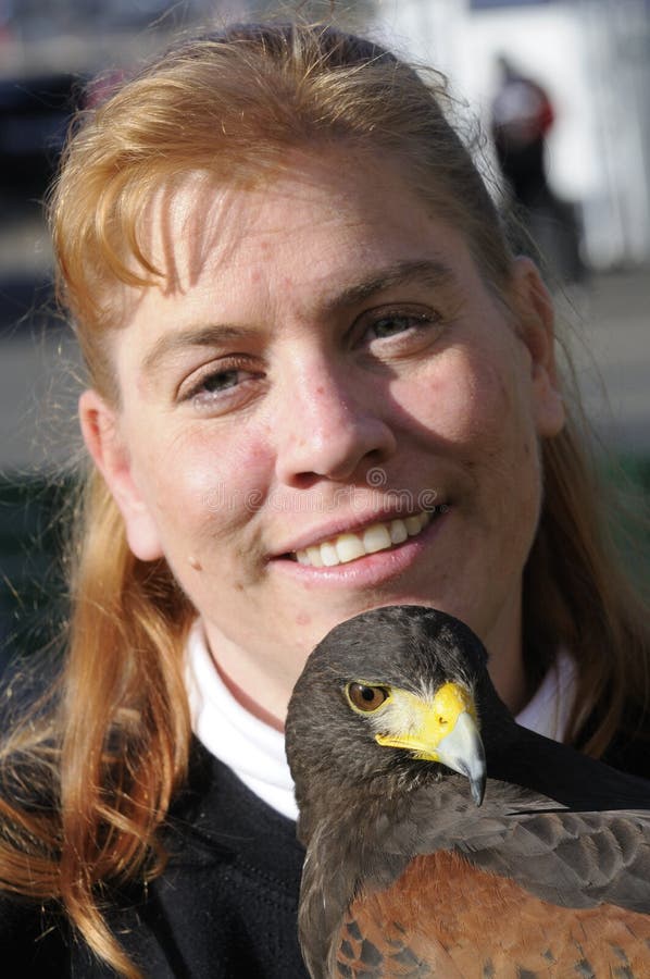 Hawker Hunter Picture. Image: 2816286