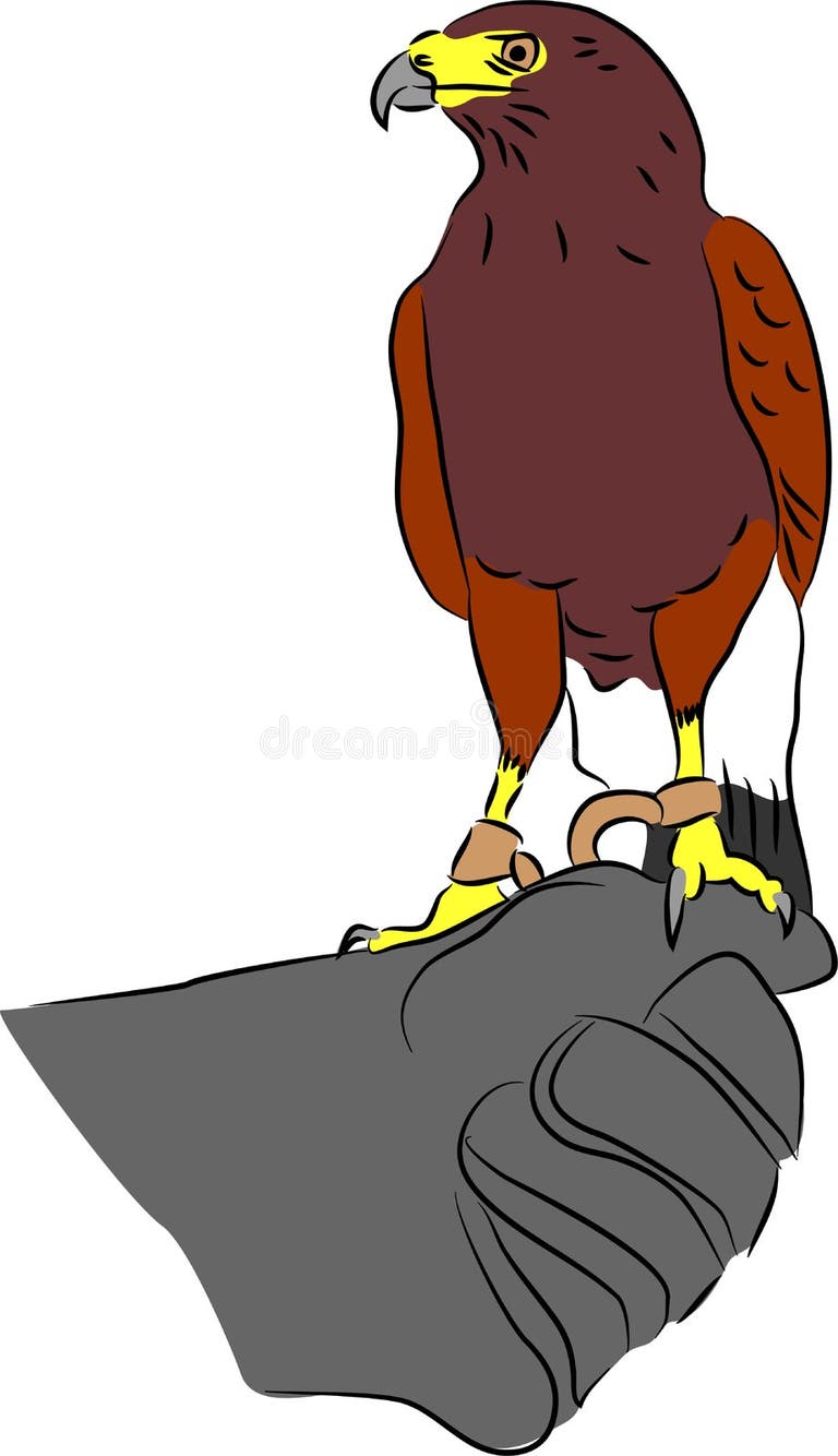 Harris Hawk Vector Stock Illustrations – 8 Harris Hawk Vector Stock ...