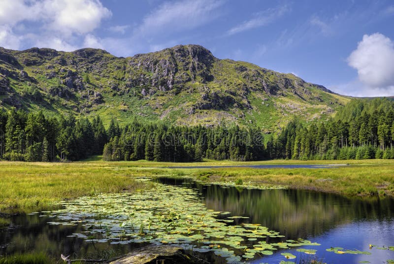 Harrop Tarn stock image. Image of district, harrop, national - 11651787