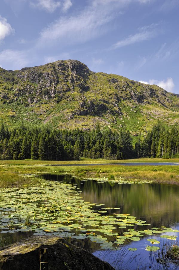Harrop Tarn stock image. Image of rural, national, scene - 11651803