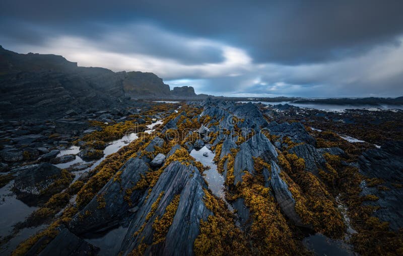 The Harsh Coast of the White Sea. Russia Stock Image - Image of path ...