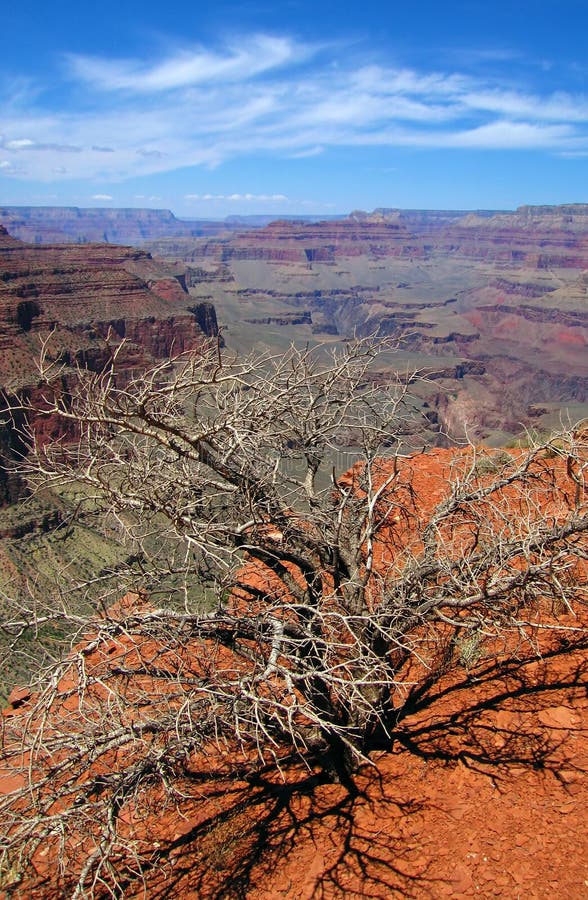 Harsh Environment stock image. Image of united, geology - 21546099