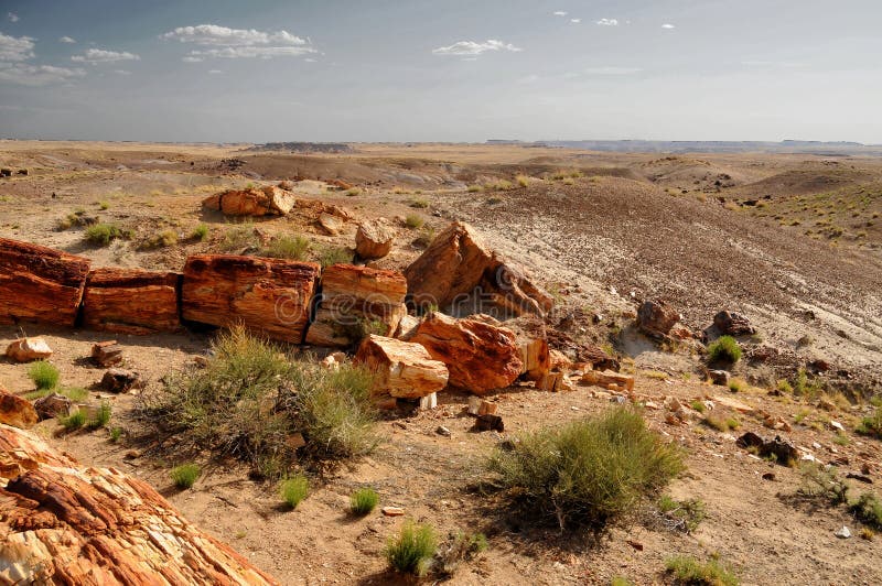 Harsh Landscape Petrified Forest National Park Arizona Stock Image ...