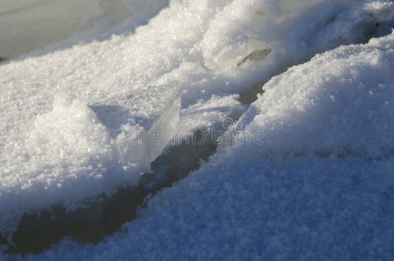 The harsh winter. stock image. Image of nature, severely - 46500035