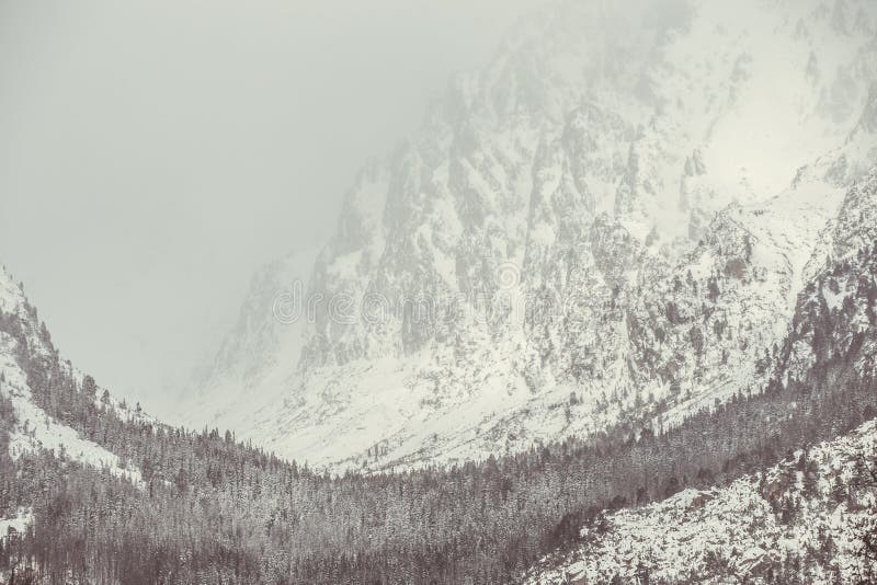 Harsh winter stock image. Image of natural, slovakia - 58153321