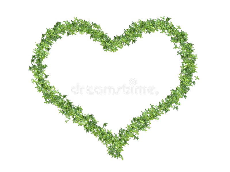 Het Hart Van Het Blad Van De Klimop Stock Illustratie - Illustration of ...