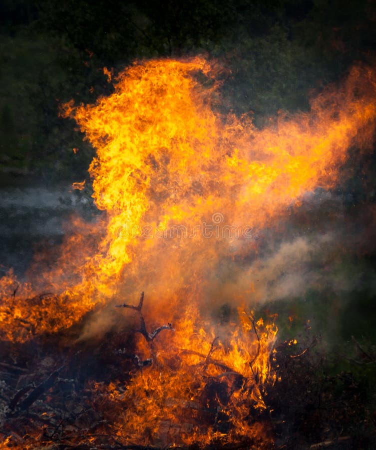 Hart on fire stock image. Image of feelings, element - 36201085