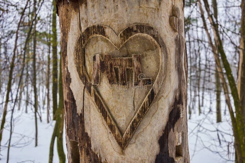 Hart Gesneden Boom stock afbeelding. Image of paar, oppervlakte - 29522595