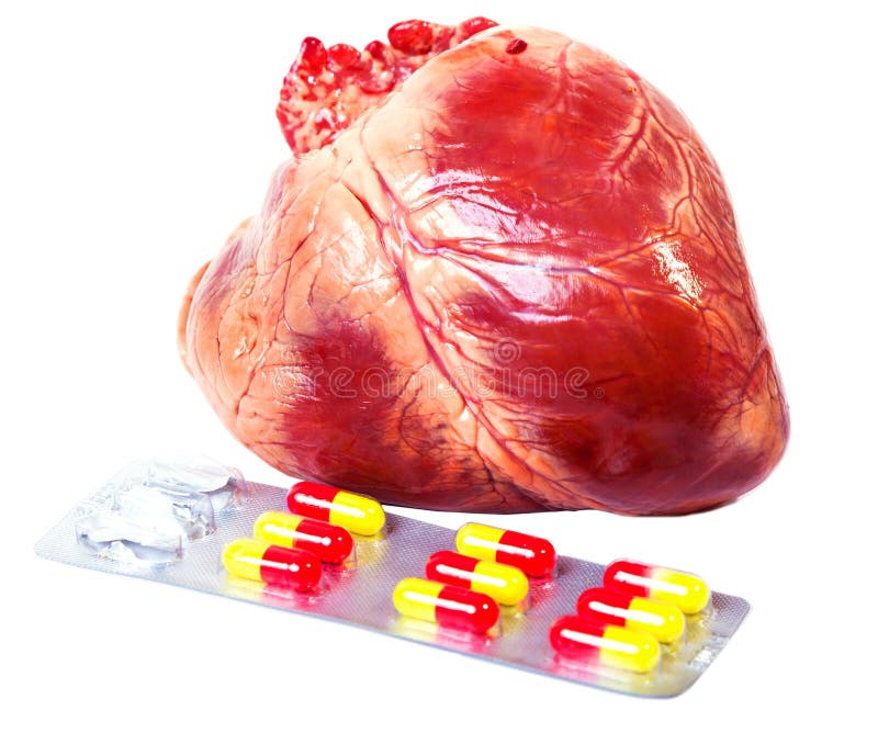 Echt hart stock foto. Image of bloed, vlees, gastronomisch - 40710152