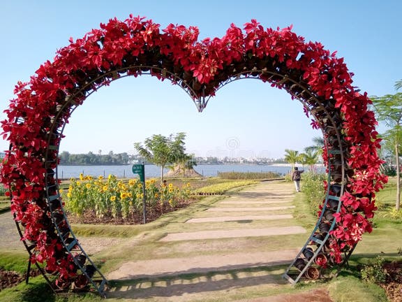 Hart shape dil editorial photo. Image of screenshot - 208596476