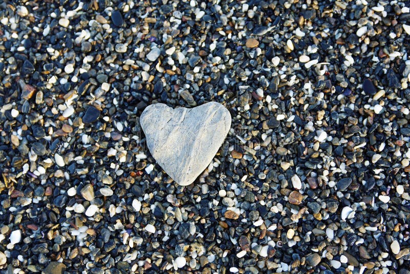 Hart van Steen stock foto. Image of schelp, symbolisch - 1631194