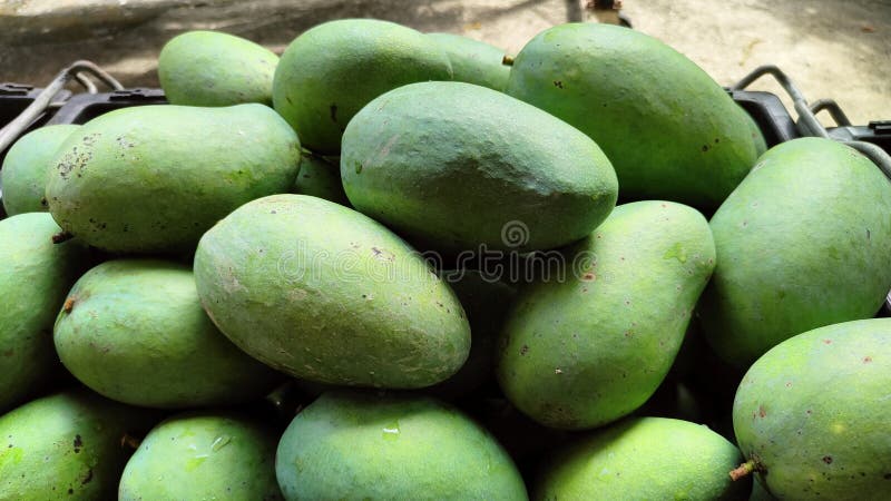 Harum Manis Manggo, Sweet Plums are only Available in Perlis, Malaysia ...