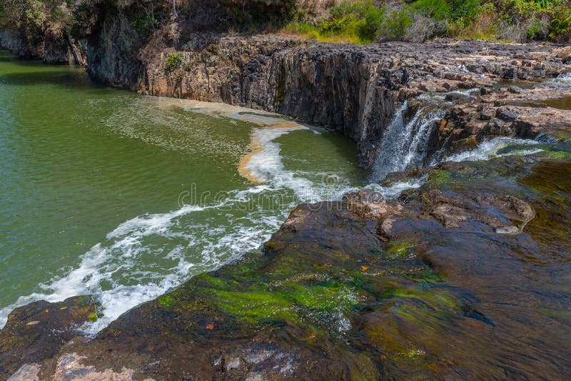Haruru Falls in New Zealand Stock Image - Image of nature, park: 204899637