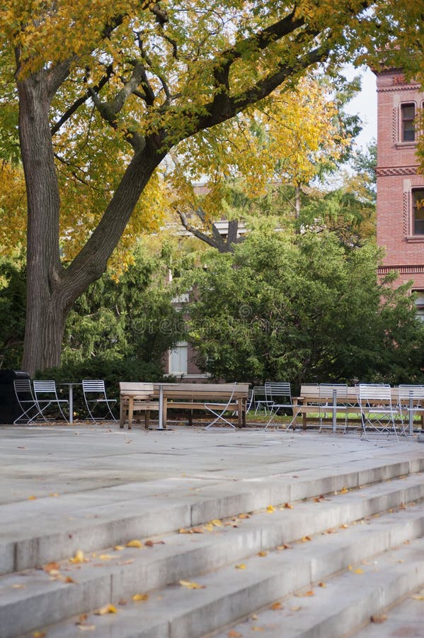 Harvard University campus stock photo. Image of school - 57456406