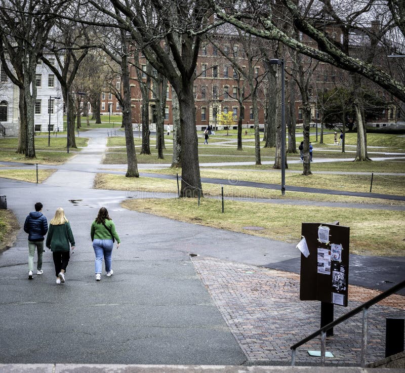 Harvard University editorial stock photo. Image of erudite - 312099568