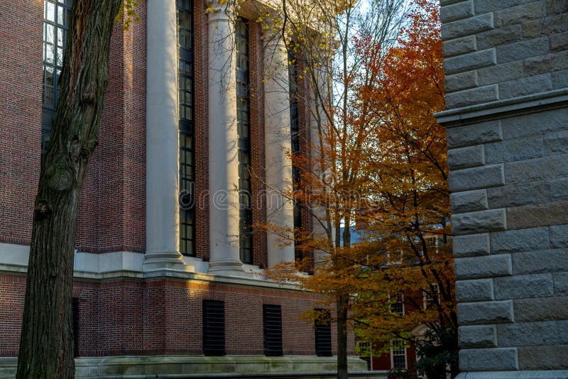Harvard Library Entrance Columns Doors Stock Photo - Image of knowledge ...