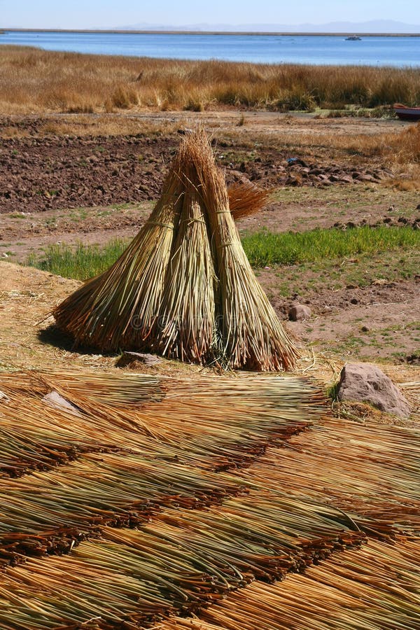 Hay stack at harvest stock image. Image of cultivate - 12413867