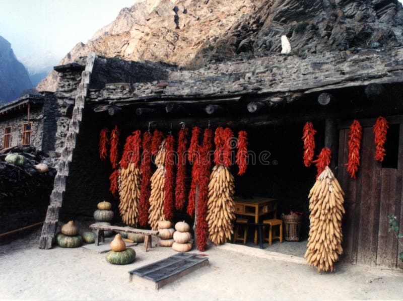 Harvest stock image. Image of pumpkin, platform, china - 1561181