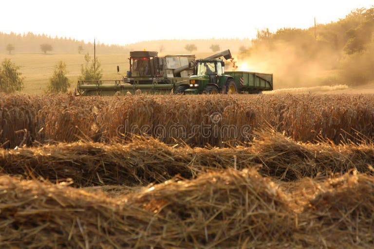 5,089 Fall Harvest Tractor Stock Photos - Free & Royalty-Free Stock ...