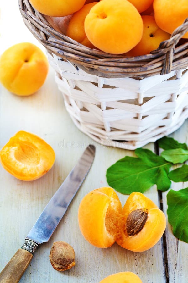 Harvest of apricots stock image. Image of food, basket - 24789155