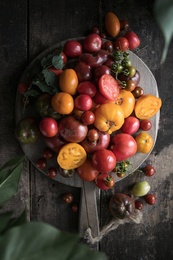 The Harvest of Assorted Tomatoes. Organic Green, Red, Yellow, Orange ...