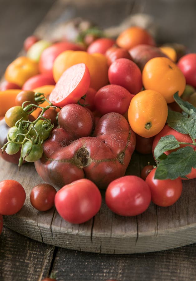 The Harvest of Assorted Tomatoes. Organic Green, Red, Yellow, Orange ...