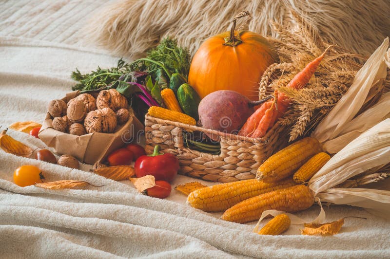 Harvest Autumn Still Life With Thanksgiving Concept Stock Image