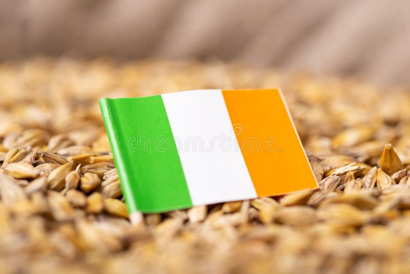 Harvest of Barley in Ireland Concept Stock Image - Image of economy ...