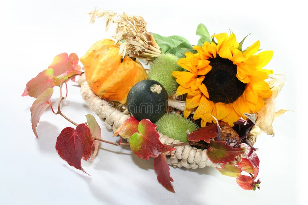 Harvest Basket stock photo. Image of harvest, cucurbitaceae - 13432002