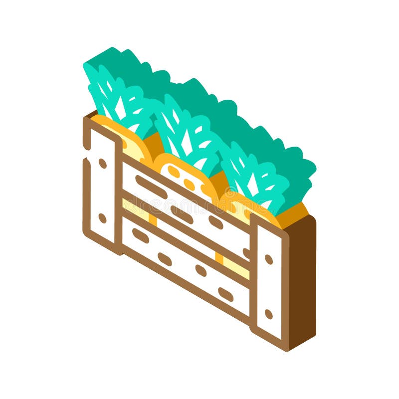 Harvest Box Pineapple Isometric Icon Vector Illustration Stock ...