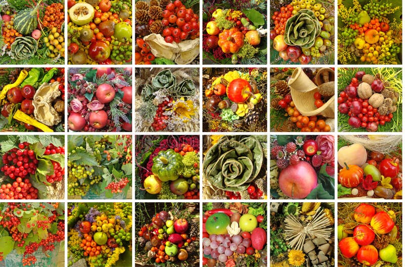Harvest collage stock photo. Image of floral, fall, garden - 20945760
