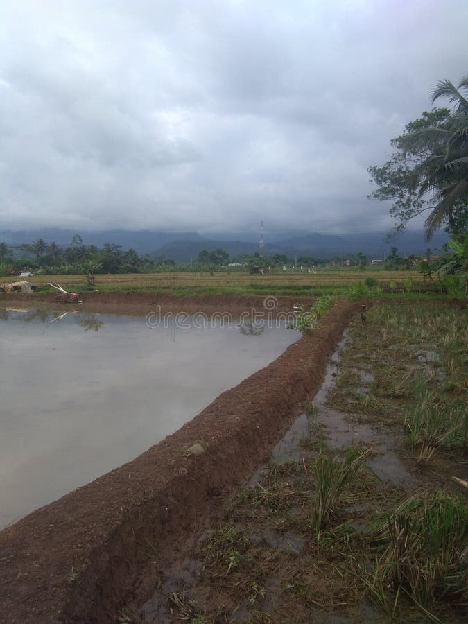 After the Harvest is Complete, the Water Flows with the Farmer Stock ...